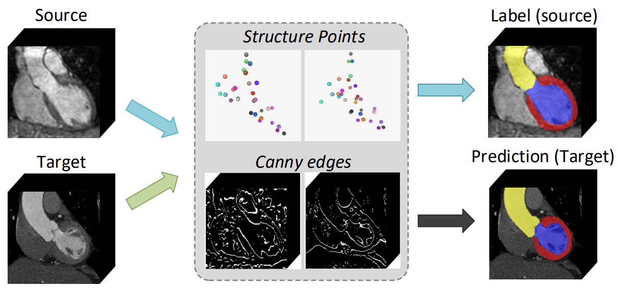 Structure-Driven Unsupervised Domain Adaptation for Cross-Modality Cardiac Segmentation