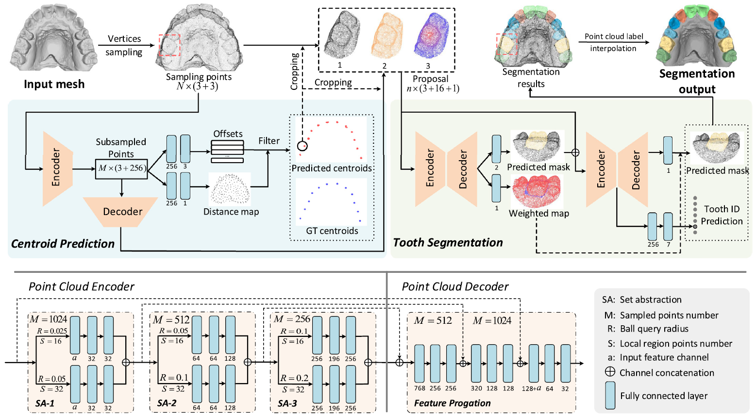 Tsegnet An Efficient And Accurate Tooth Segmentation Network On 3d Dental Model